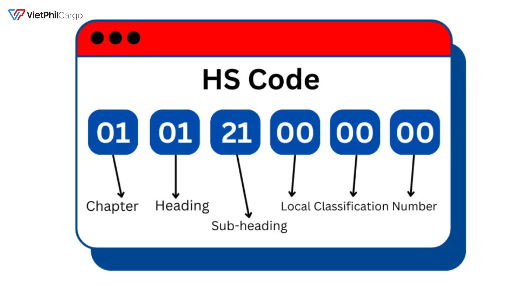 HS Code là gì? Cách tra mã HS Code cho hàng xuất khẩu - VIETPHIL CARGO
